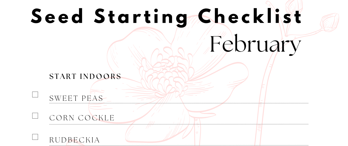 February Flower Seed Starting Checklist – Flower People