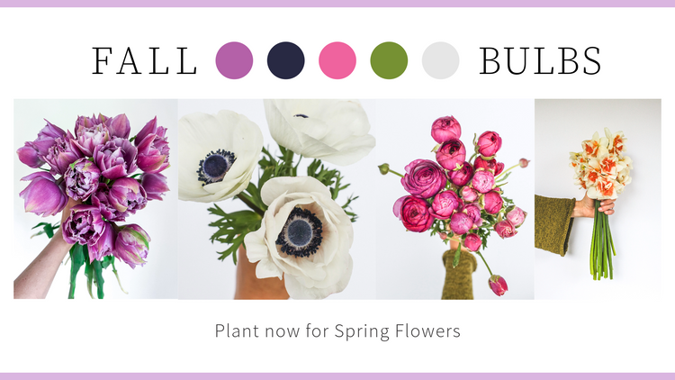 Flower People: Beautiful plants for your flower garden.