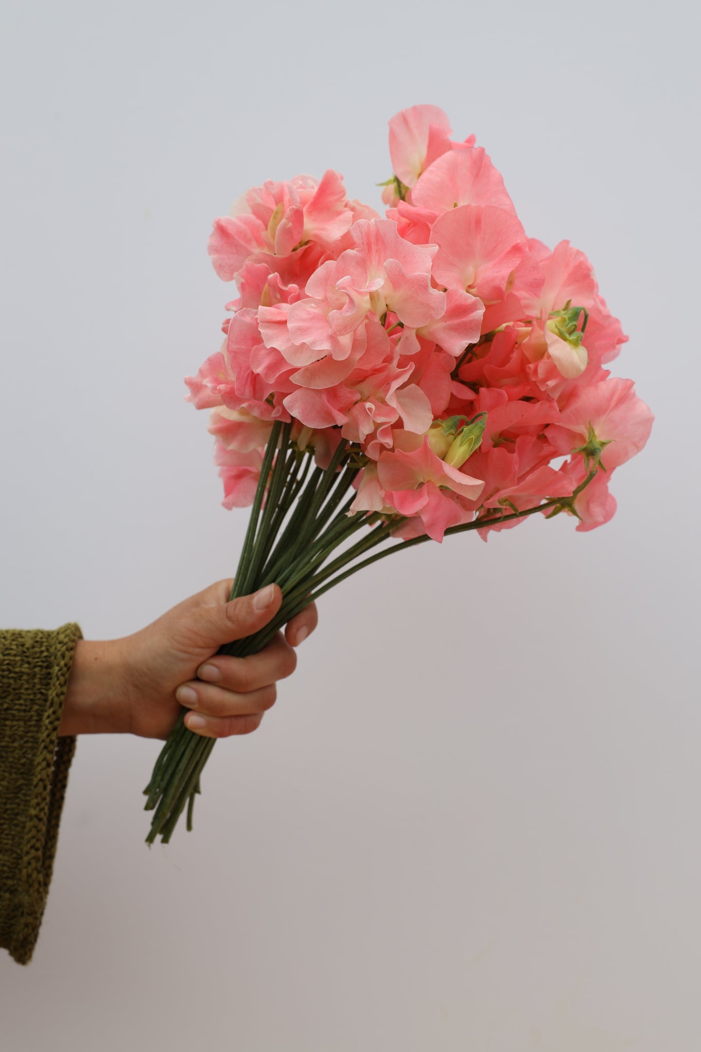 Flower People NEW Seed Collection