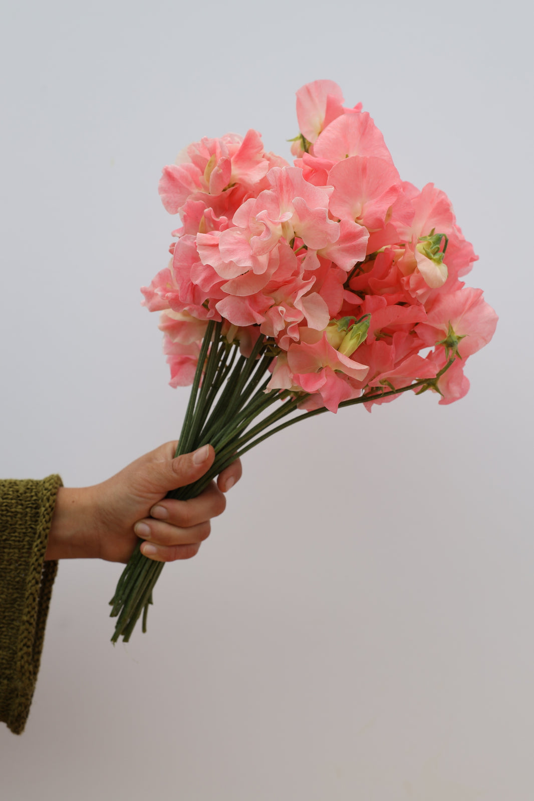 Flower People NEW Seed Collection